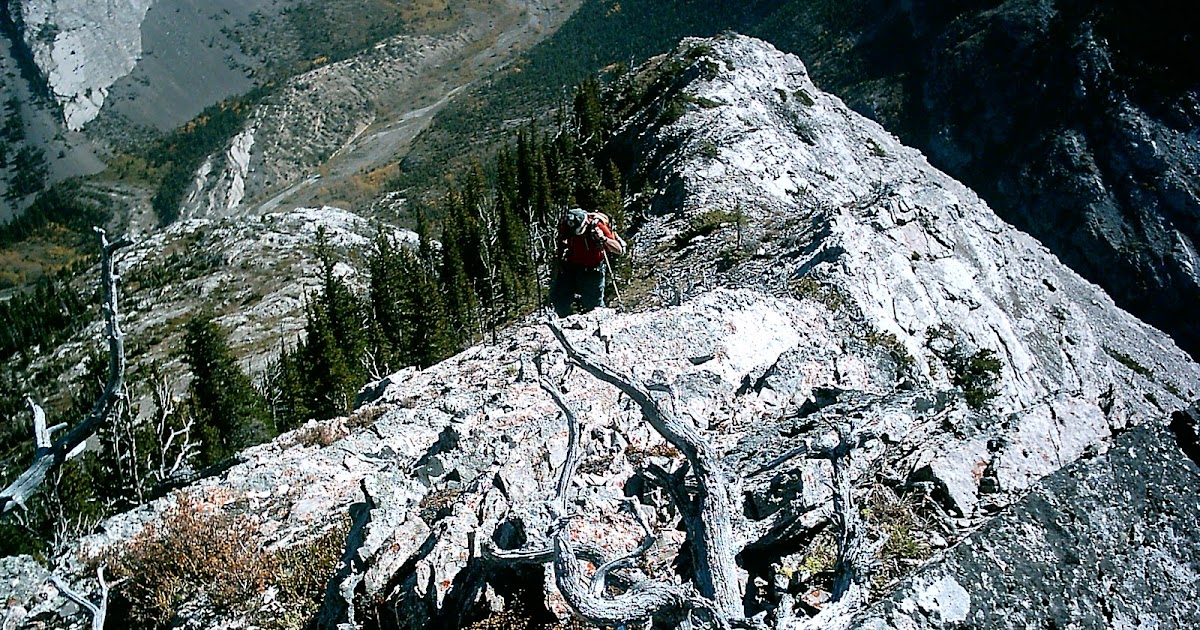 Out there with Tom: Mount Sentinel in the Bob Marshall