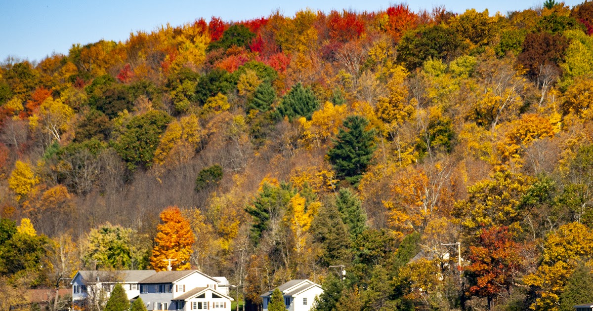 5 Destinos para disfrutar los colores del Otoño | El Guisante Verde ...