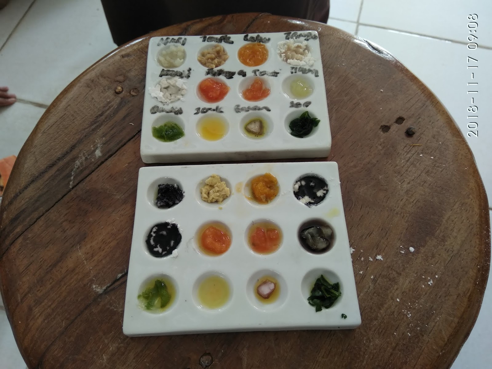 Praktikum Uji Kandungan Makanan - Kelas Biologi | Irfan Dani, S.Pd.,Gr