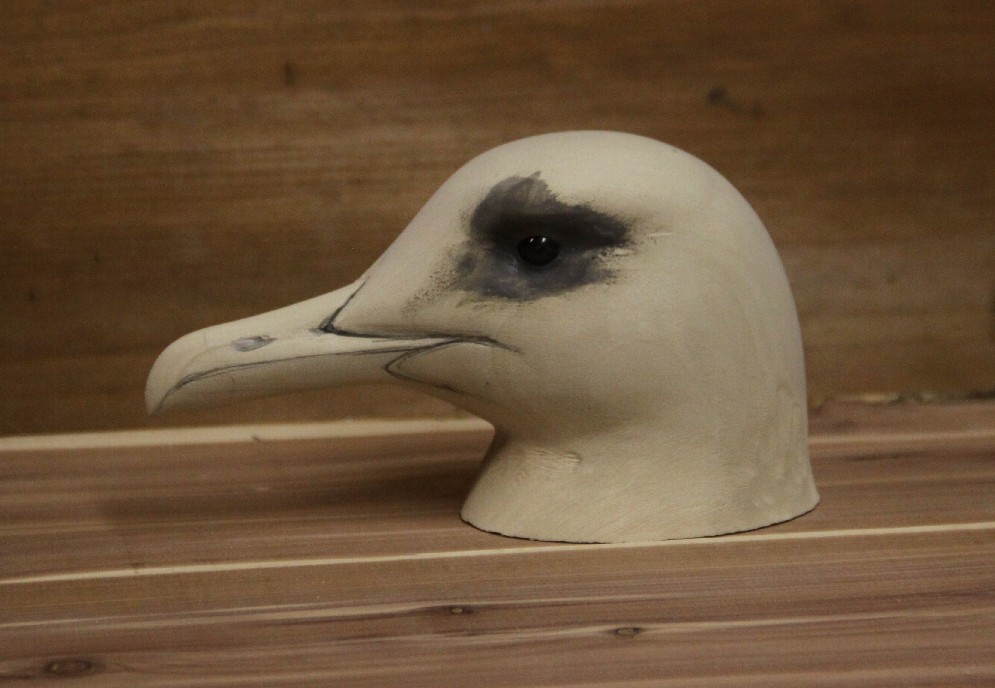 New England Coastal Birds: The Great White-winged Gull of the North ...