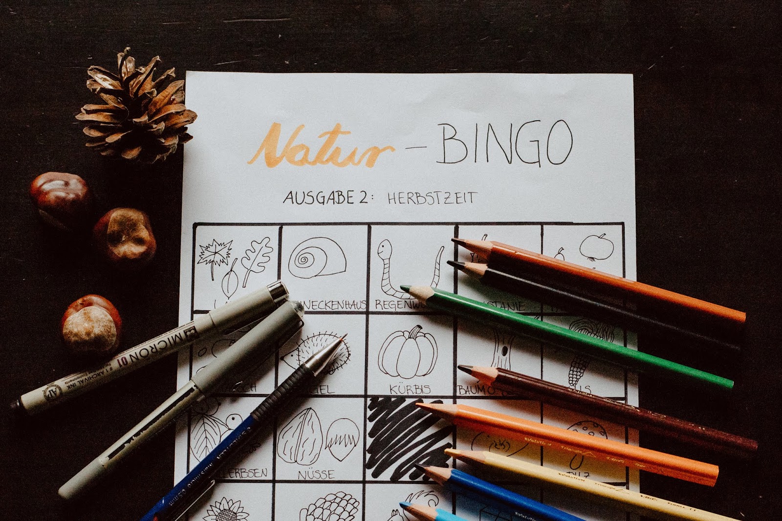 Freebie : Natur-Bingo Ausgabe 2 "Herbstzeit" - Flauschviech