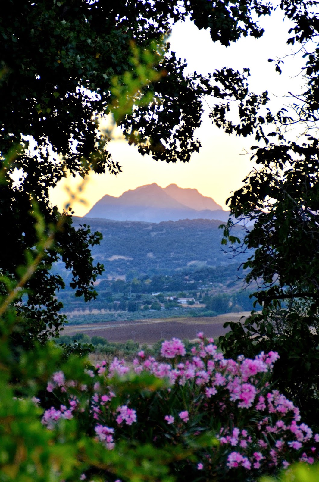 London: Typisch England!