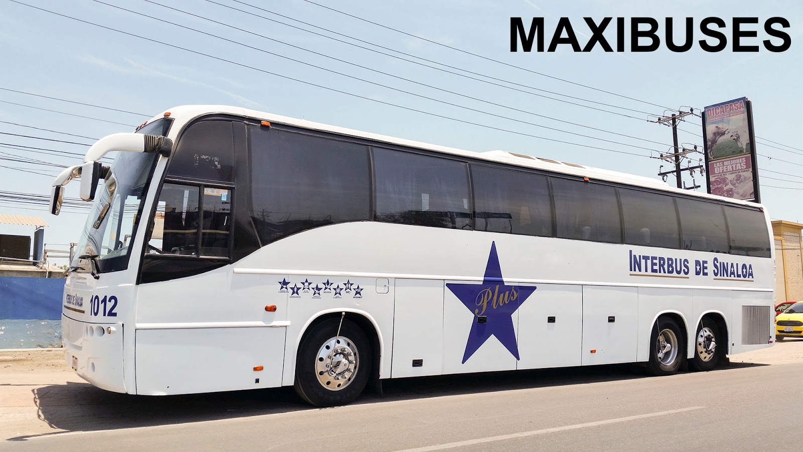 MAXIBUSES: INTERBUS DE SINALOA