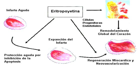 BIOMETRIA HEMATICA: equipo #5