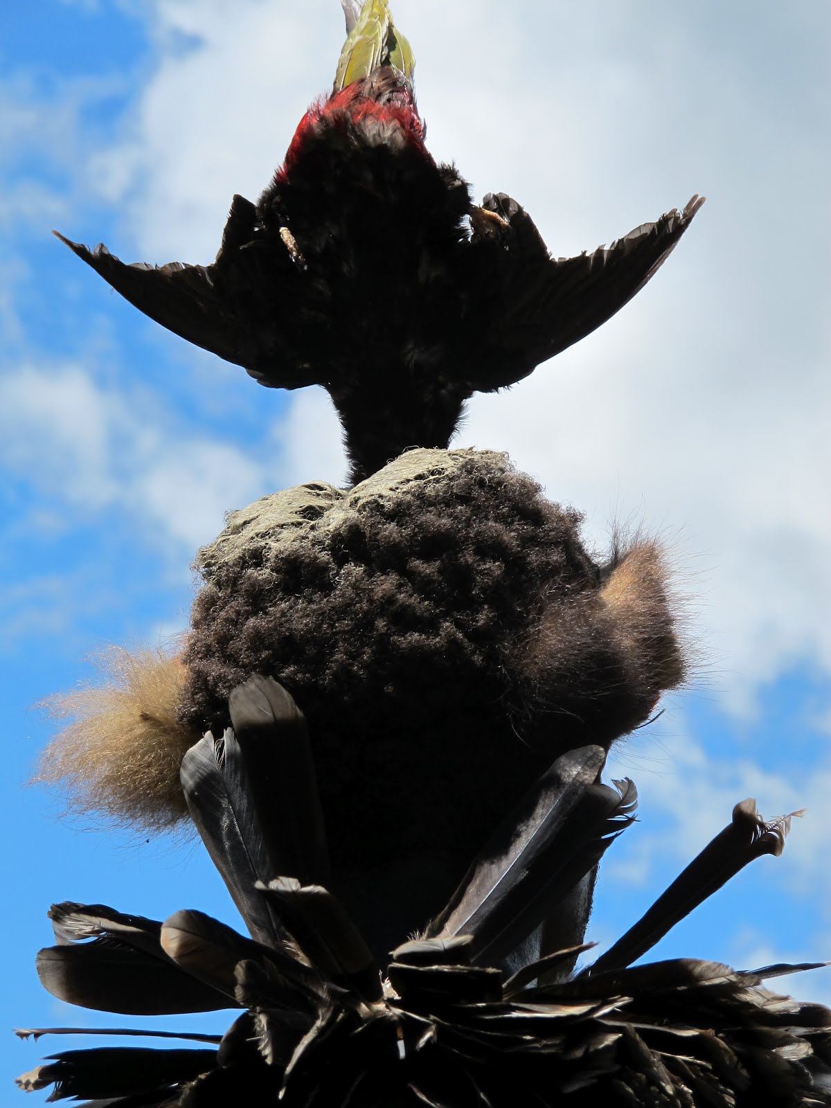 The Secret Flip Flops: The Dani, Yali, Duga - Peoples of Papua