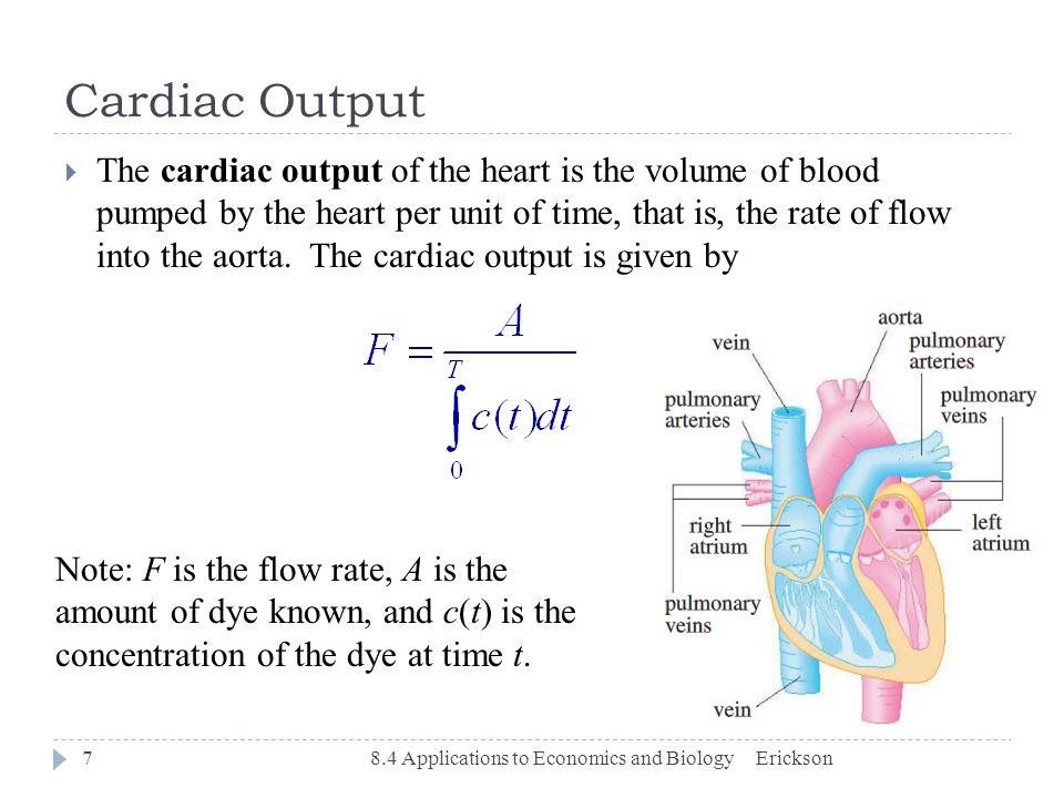 Calculus' Secret Files