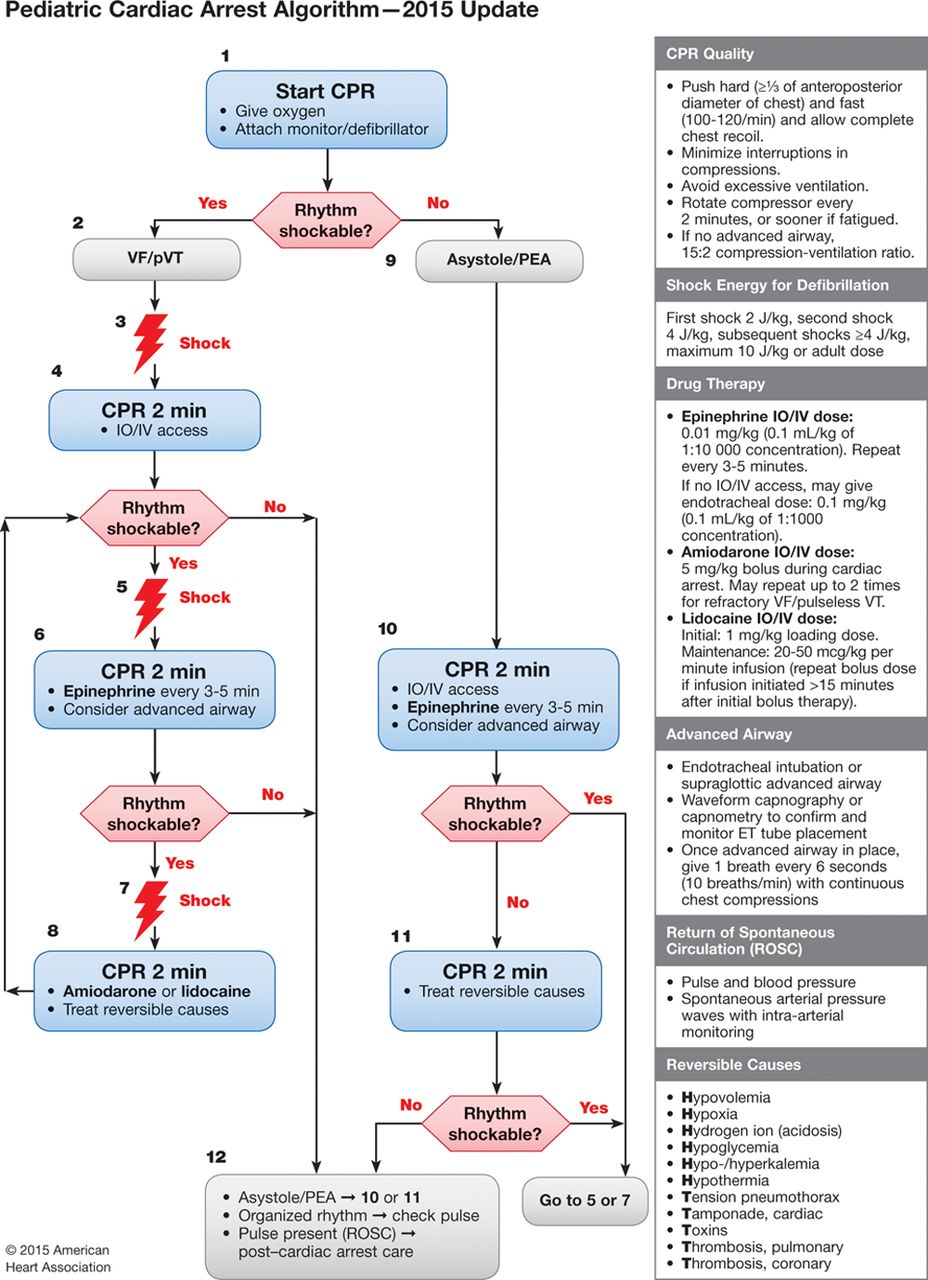 Dr Han Naung @ Henry Han : Electrophysiology and Heart Rhythm : Cardiac ...