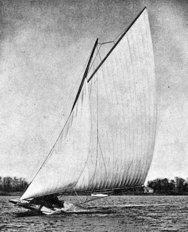 Earwigoagin: The Swallow Scow Plans: The Rudder Magazine's Second DIY Scow