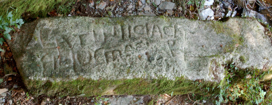 Prince Vulpine: In The Footsteps Of Arthur, Part Five: Avalon