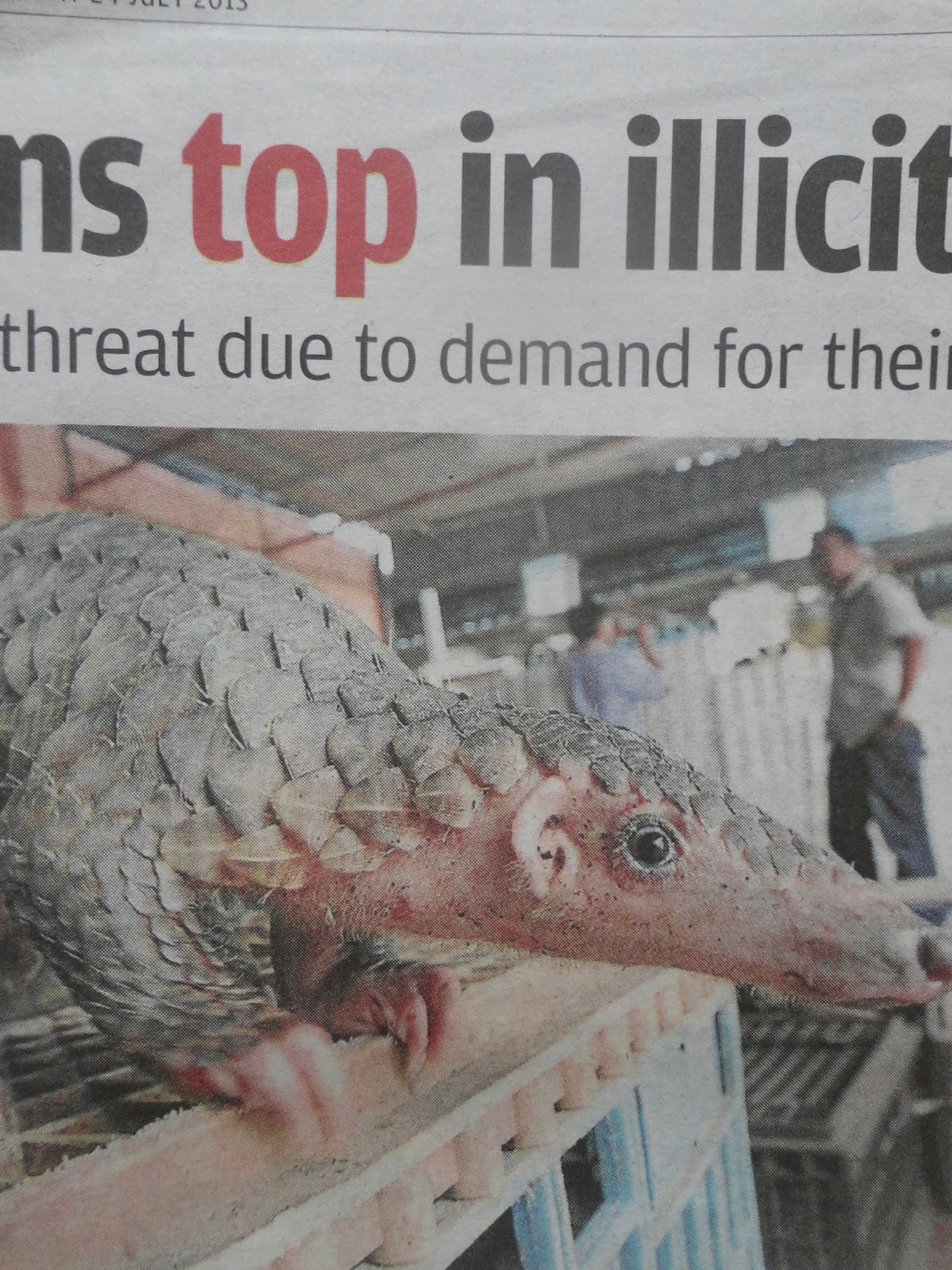 SUSTAINABLE LIVING INSTITUTE (SAVE): ARMADILLO MILK ANYONE?