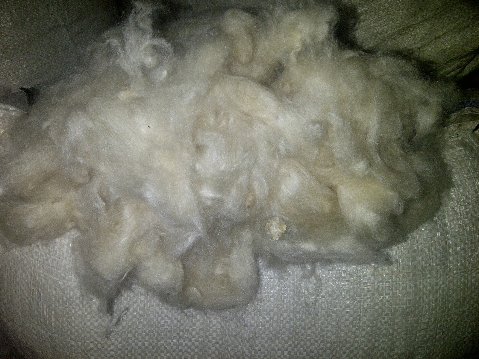 Kasur Kapuk Murni | Bantal dan Guling | Yoga bolster: Kasur Kapuk Mahal