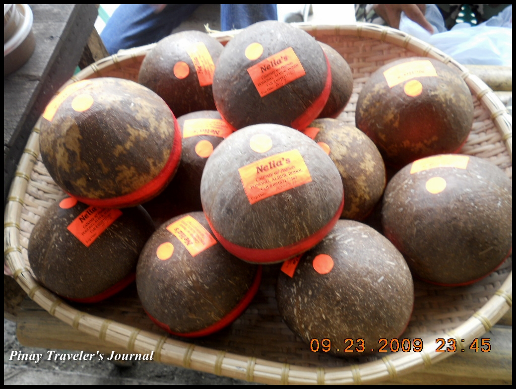 Wanderful Pinay: Bohol's Must Try..!!! | Frolics in Bohol