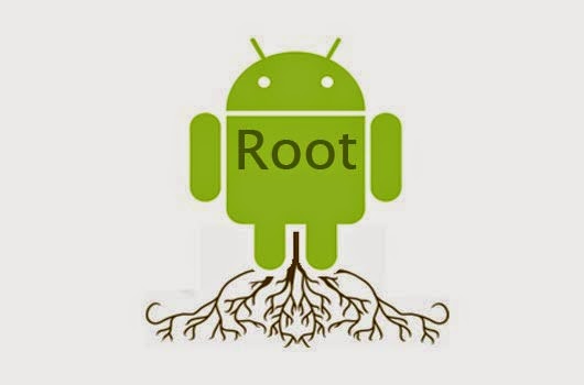 Apa itu Root? ~ BWS Centre