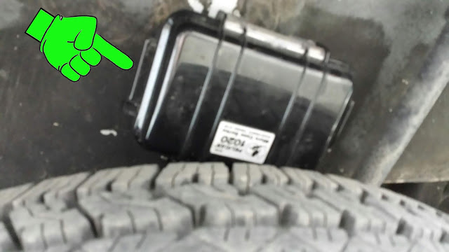 Lion News: What?!? David Rucki & Tammy Love Conspired To Stalk Sandra ...