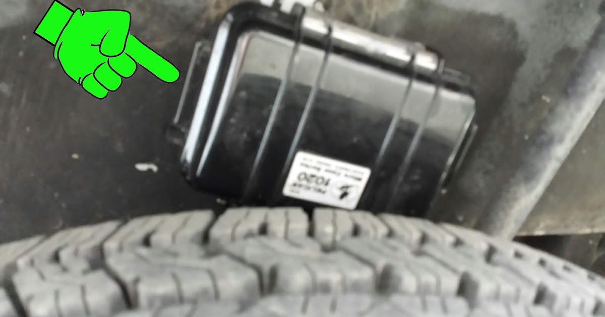 Lion News: What?!? David Rucki & Tammy Love Conspired To Stalk Sandra ...