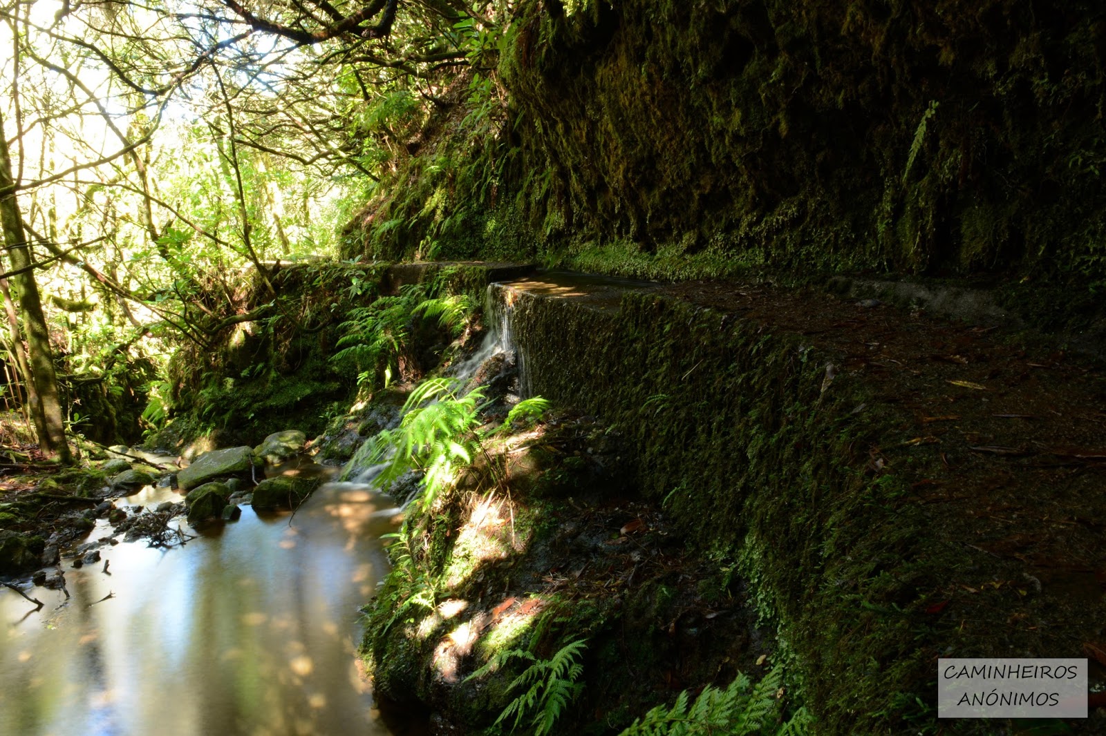 Caminheiros Anónimos Levadas da Madeira : Levada Grande (Achadas da Cruz)
