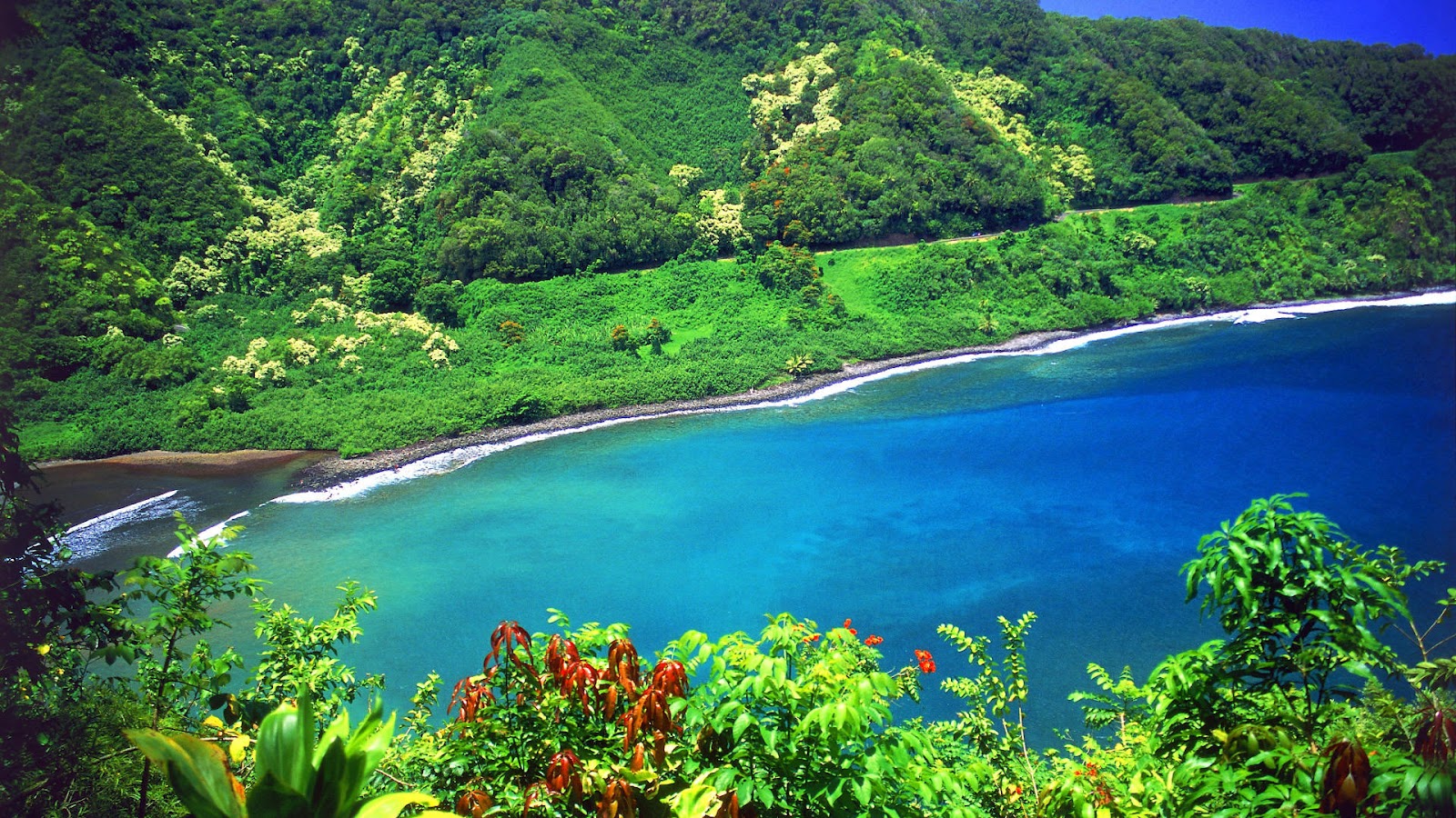 Wallpapers natureza #1 | Imagens para photoshop