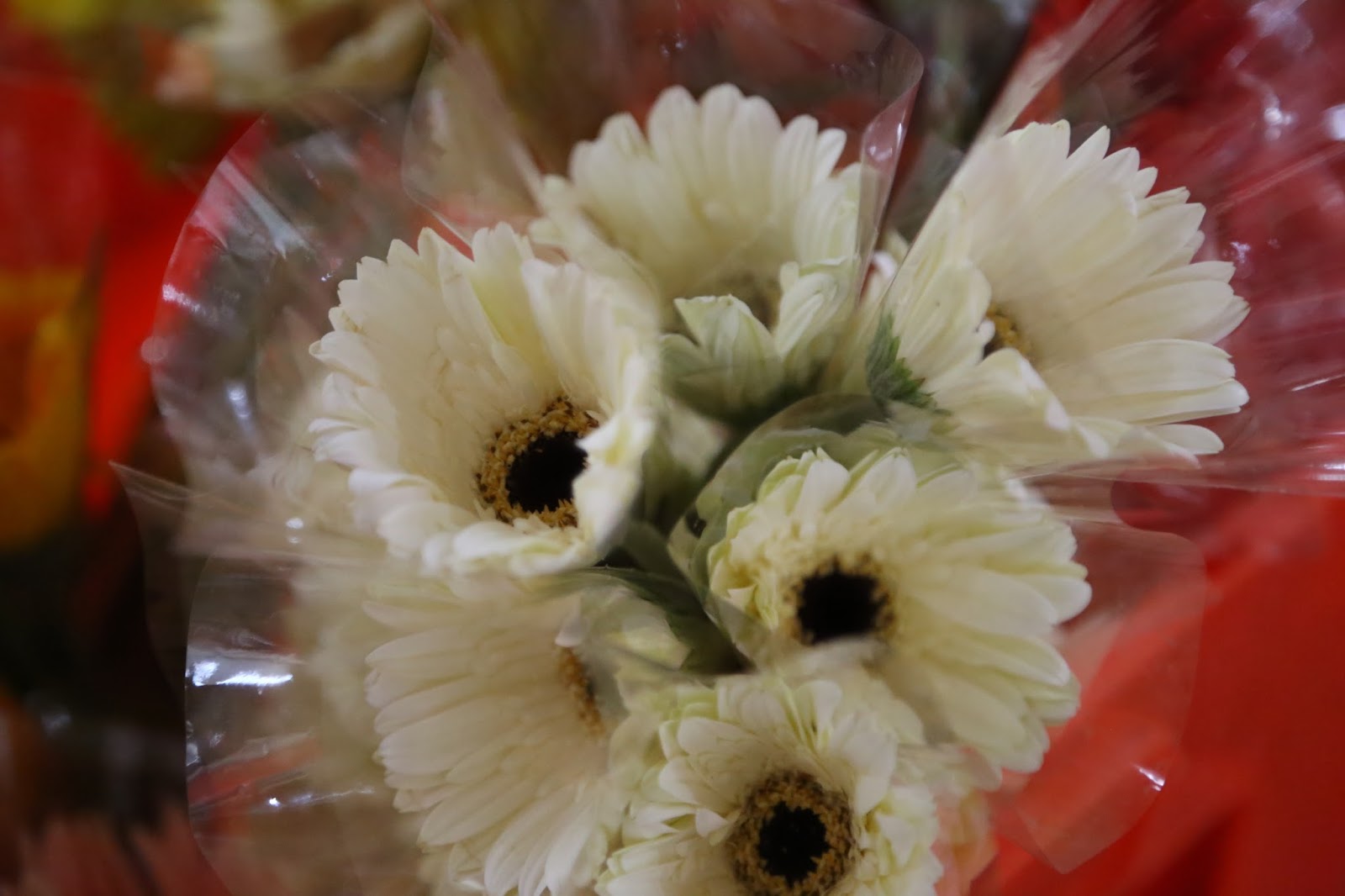 only$10 for fresh flower