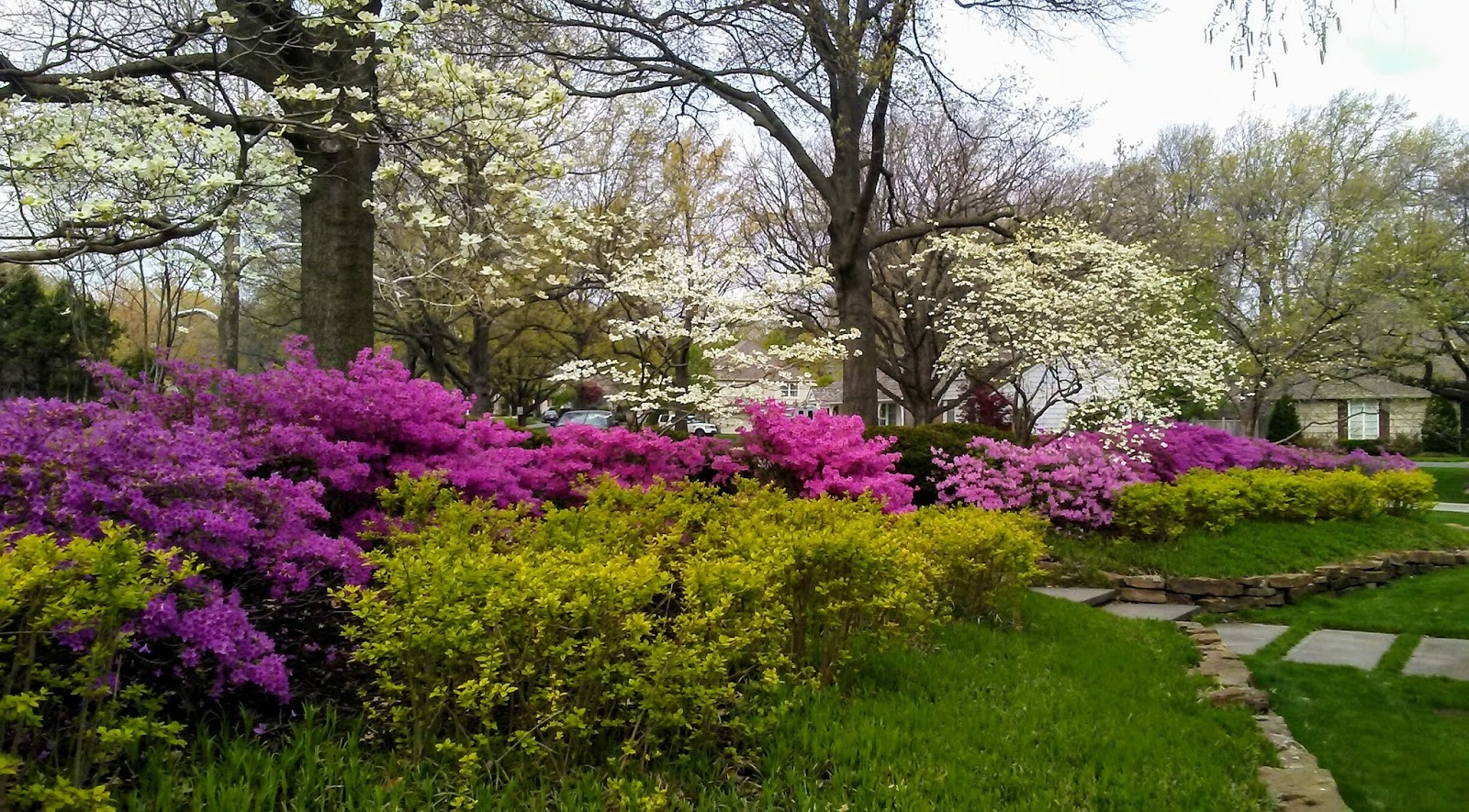 KC Photog Blog: Kansas City Spring