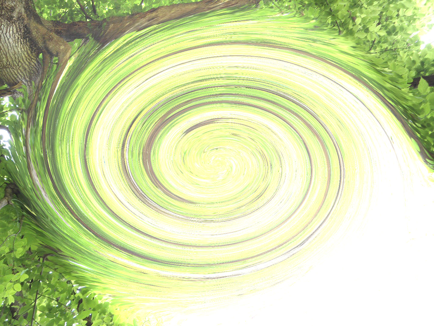 My photography pictures