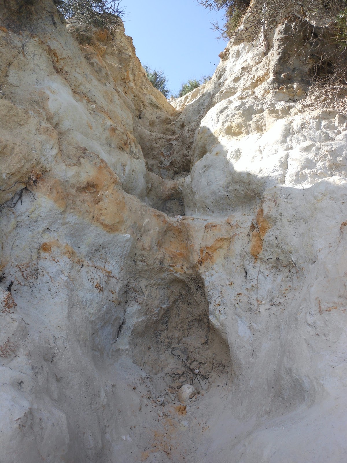 1000 Hikes in 1000 Days: Day 521: Climbing Whiteface - Simi Dog Park ...