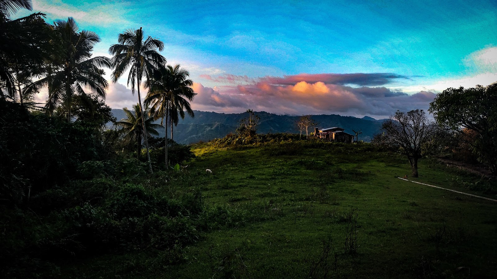 Mt. Babag, First Mountain in 2018