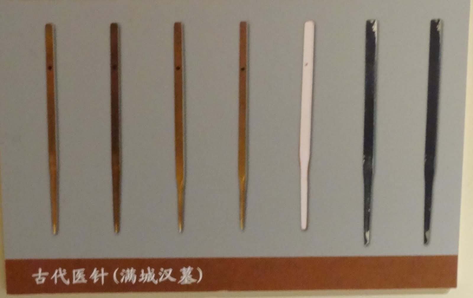 The Whole Horse Blog: May 1 - Chinese Medicine Museum - Happy May Day!