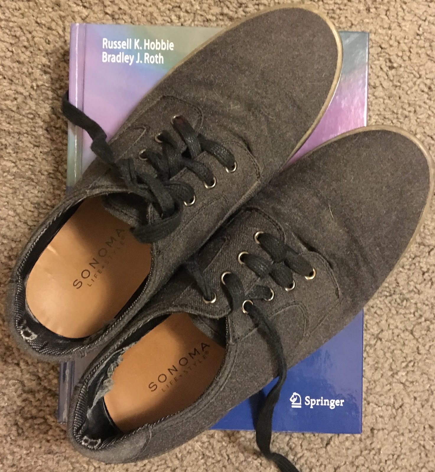 Intermediate Physics for Medicine and Biology: Baring the Sole: The ...