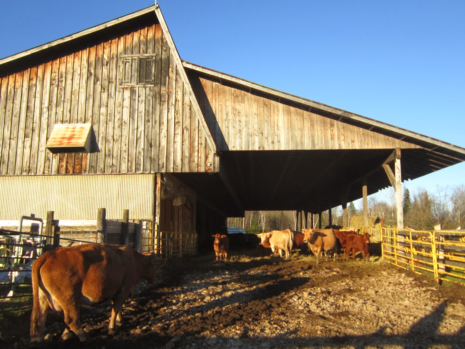Manger bio : mode d'emploi: Visite de la ferme biologique Morgan à St ...