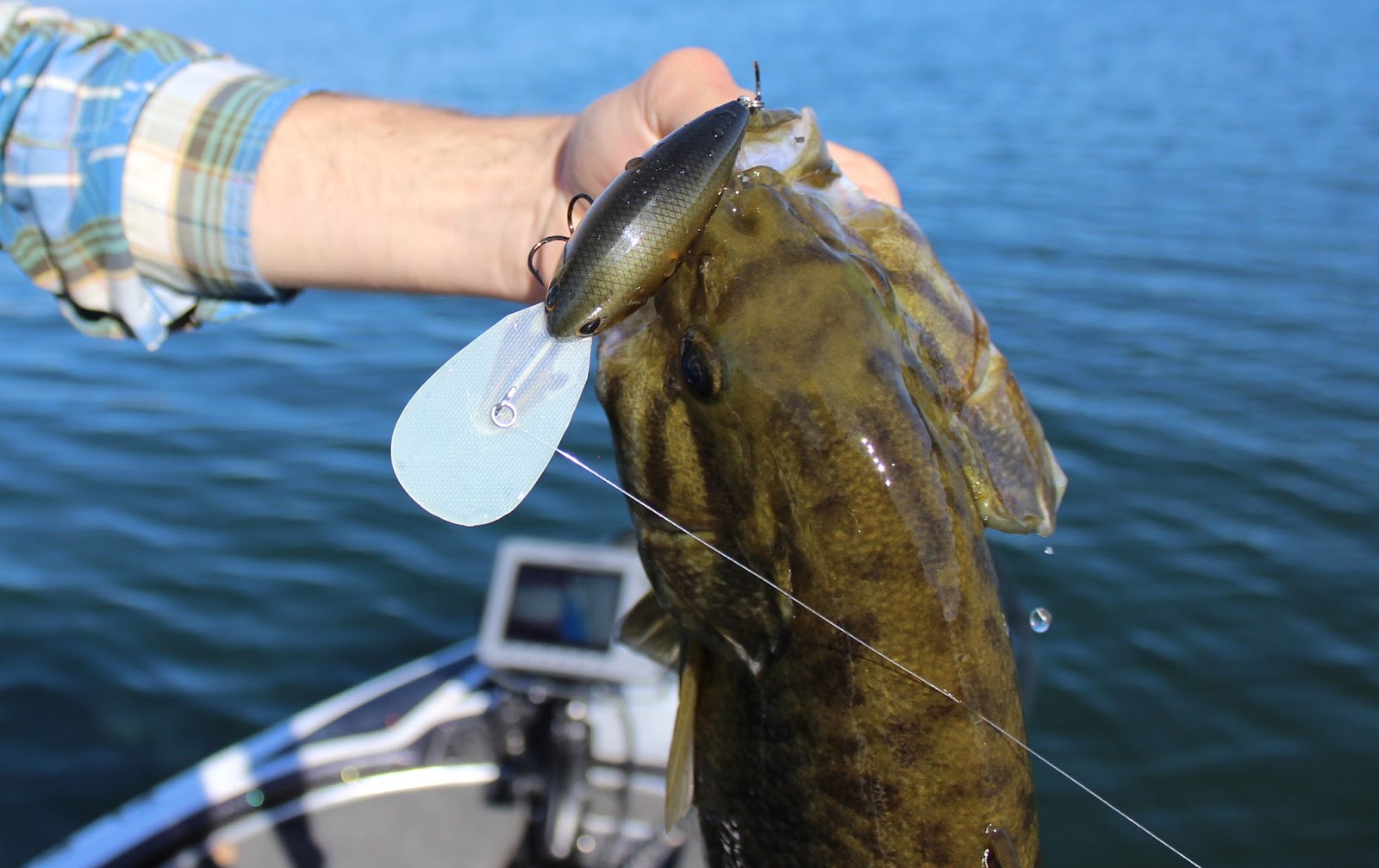 T Brinks Fishing: Storm Arashi Deep Crankbaits Review