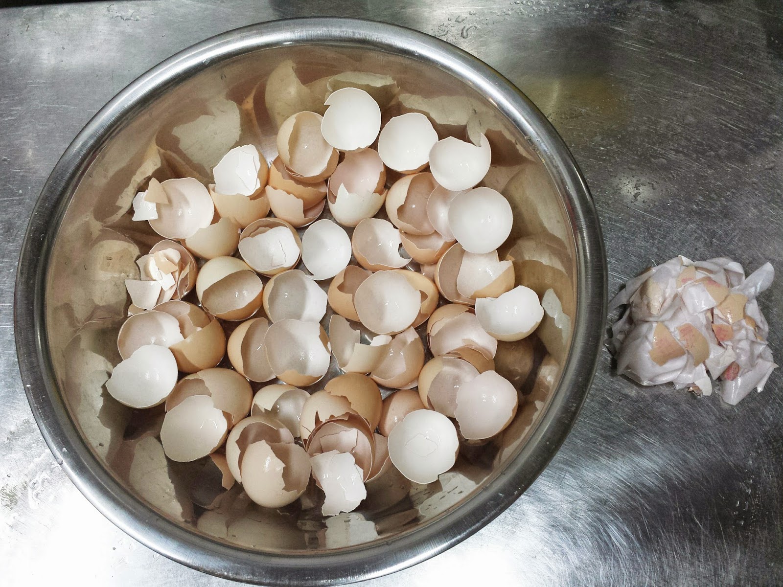 Natural PawPals: How To Make Organic Eggshell Powder