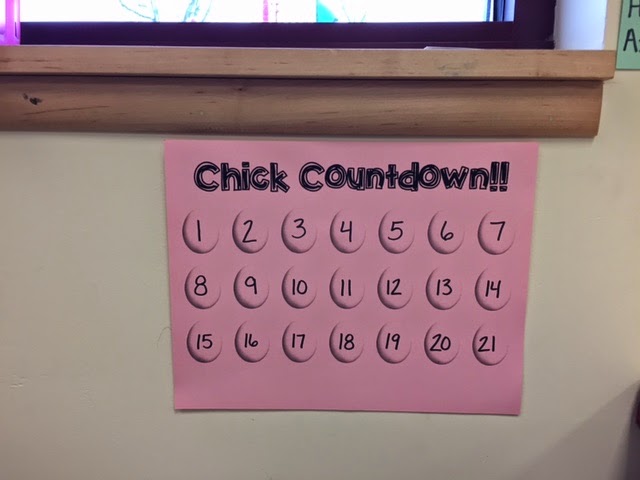 Ms. Julie's Kindergarten: Chicken Hatching Project is Back!