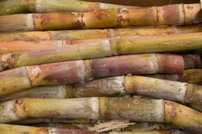 We love Our Bangladesh: Sugar cane(Aakh/Ikkhu/Gendari/Kushor) a source ...
