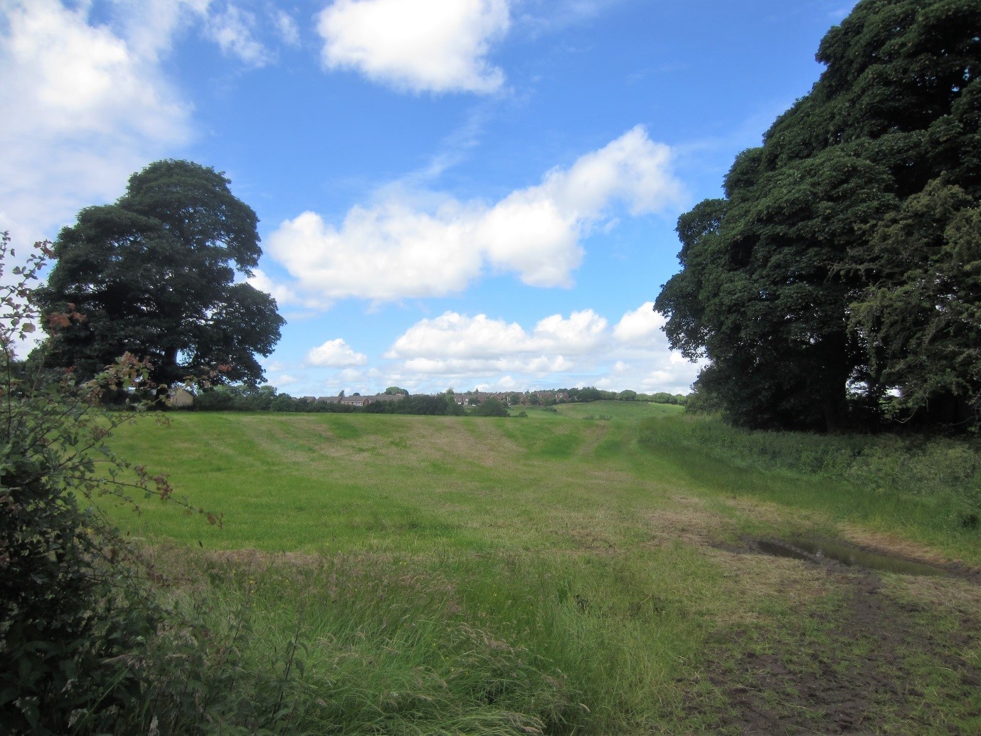 Was there a Medieval Cattle Ranch in Whittle-le-Woods?