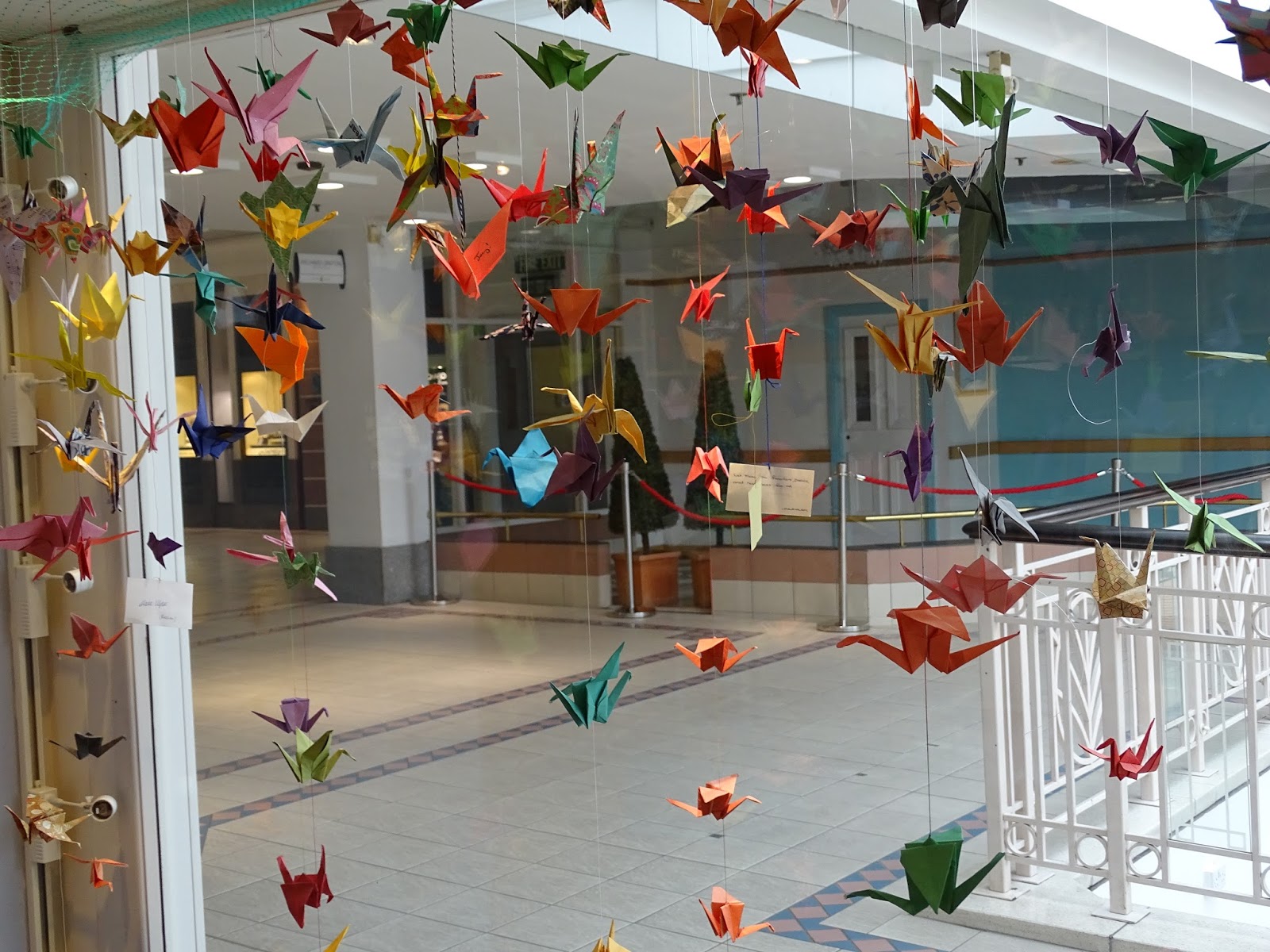 The Kittiwake Trust Multilingual Library: First Impressions