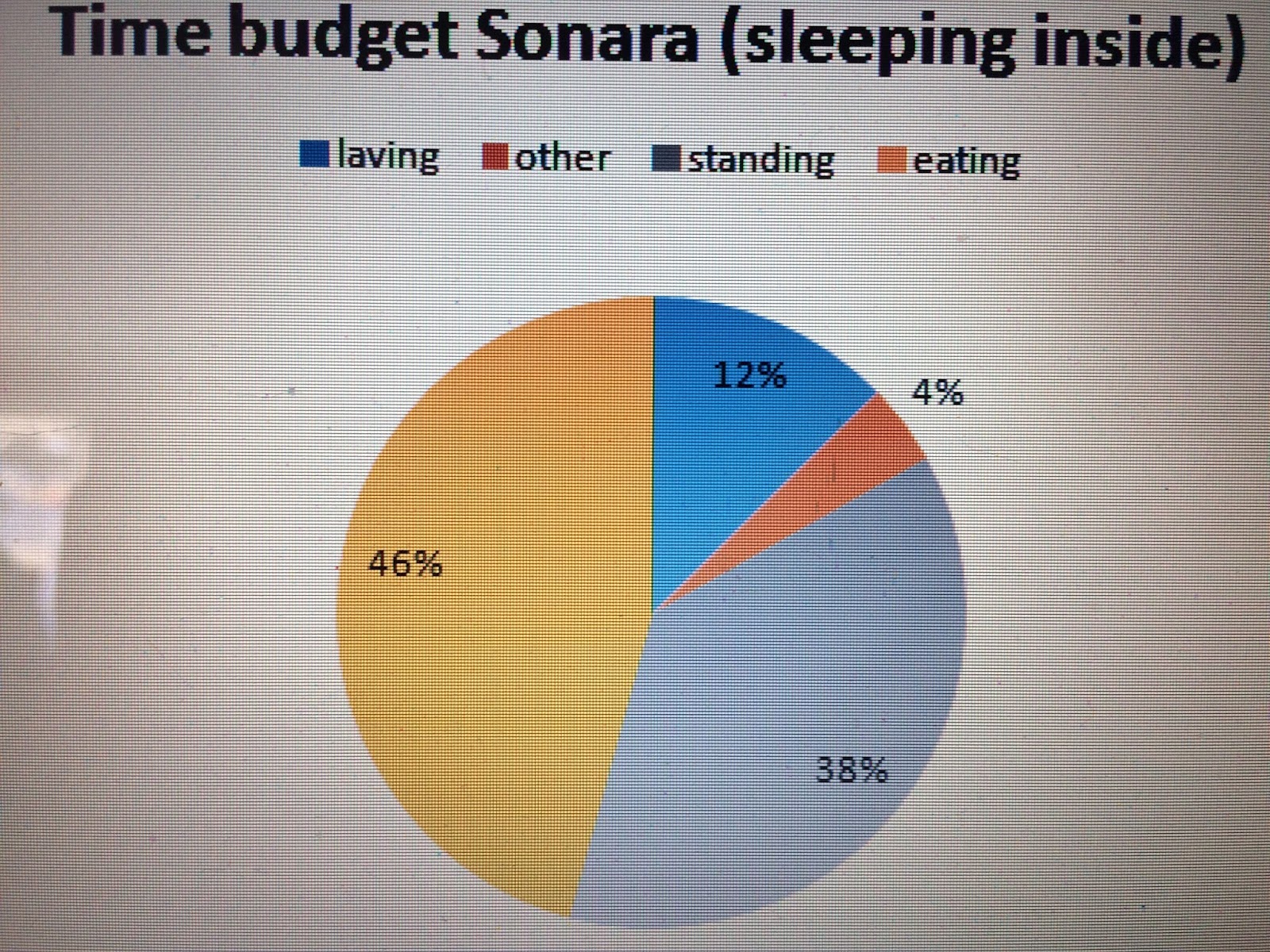 hippi-que & compagnons: Behaviour observation assignement - feed time ...