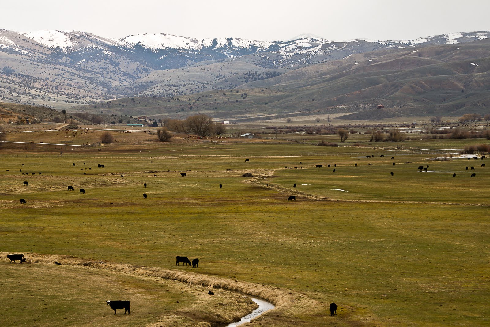 Melaney's Photo a Day: Day 190--Unity and the Burnt River area