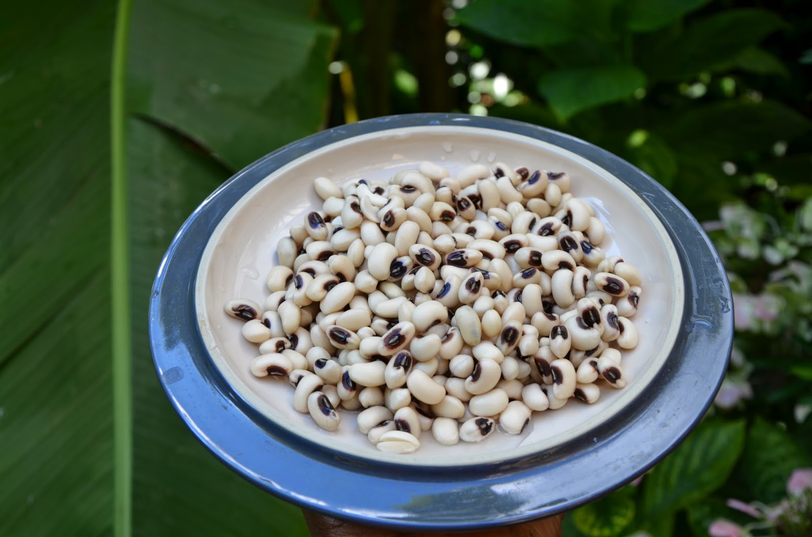 Ndudu by Fafa: Red Red (Black eyed beans stew with fried Plantain)