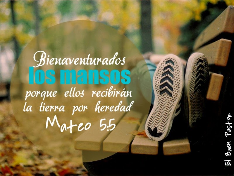 YO SOY EL BUEN PASTOR: Mateo 5:5