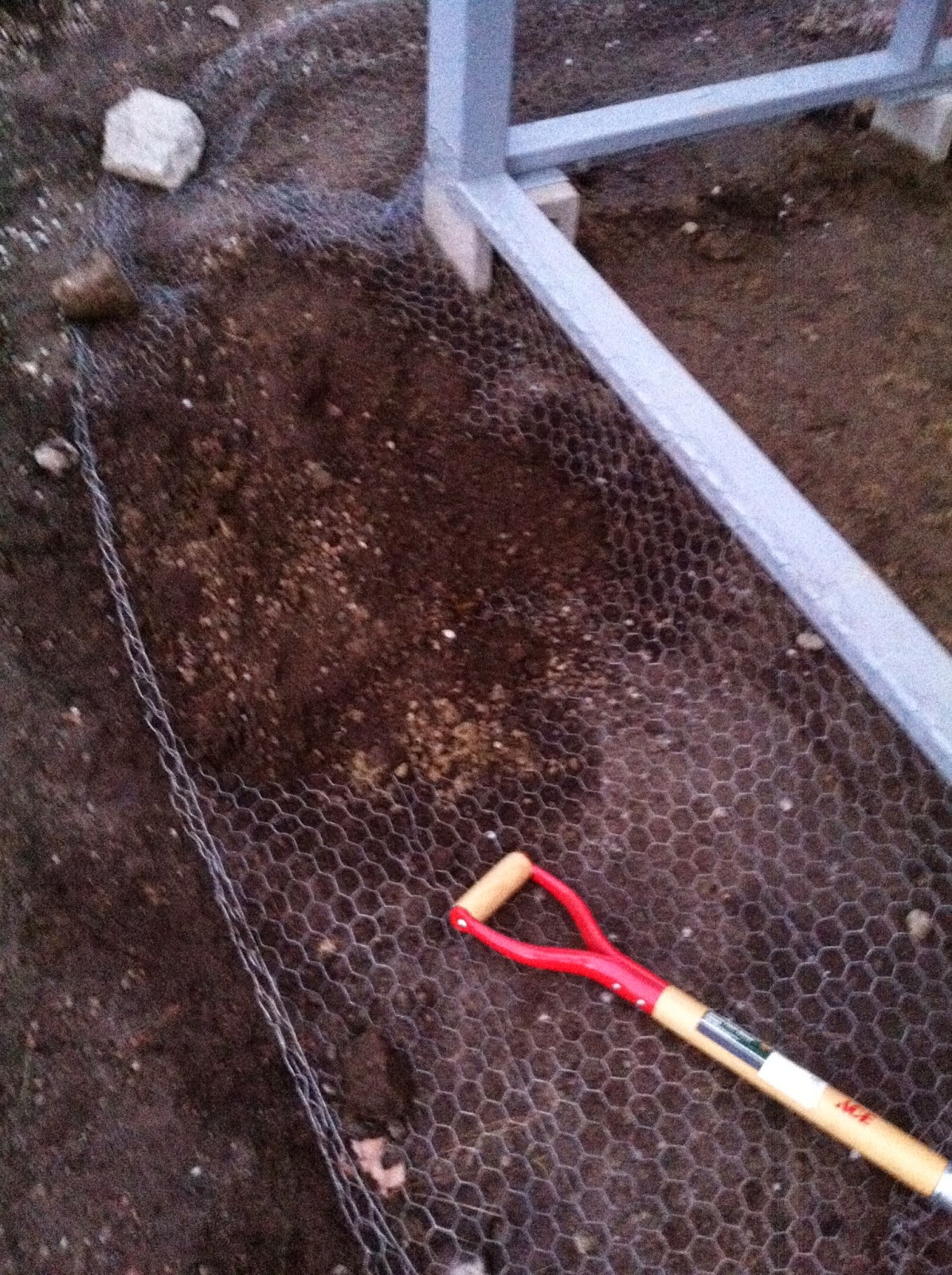 The Home Roost : Backyard Chickens