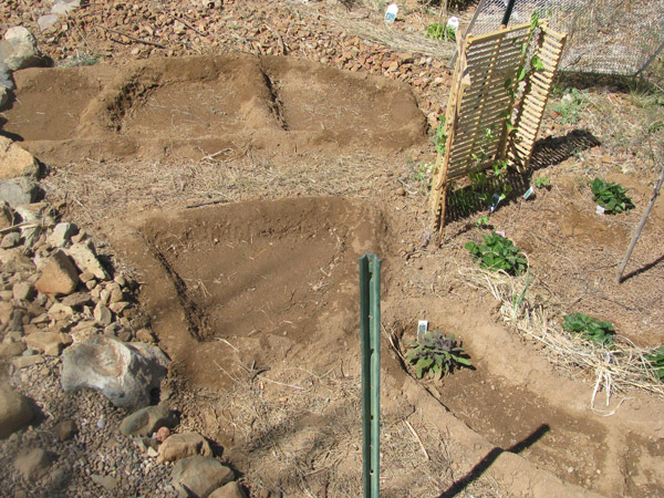 Learning to Garden All Over Again: Making the Waffle Garden II