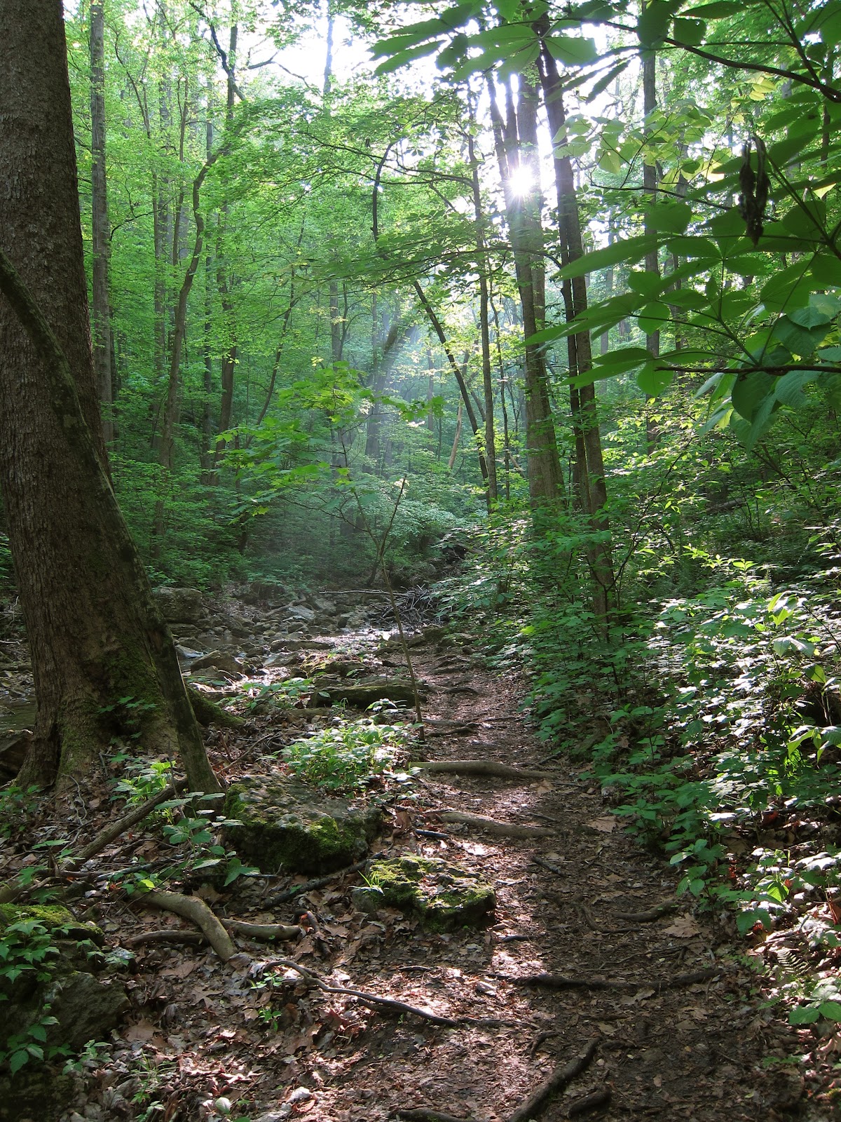 Dames at the Pocket – Trail Dames Blog