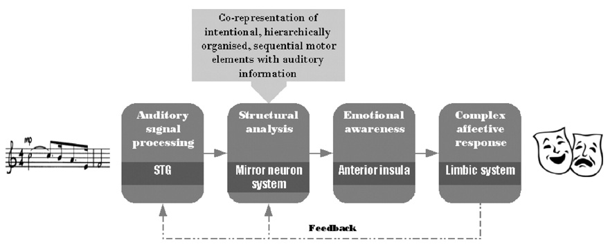 The Neurocritic: More Music, More Empathy