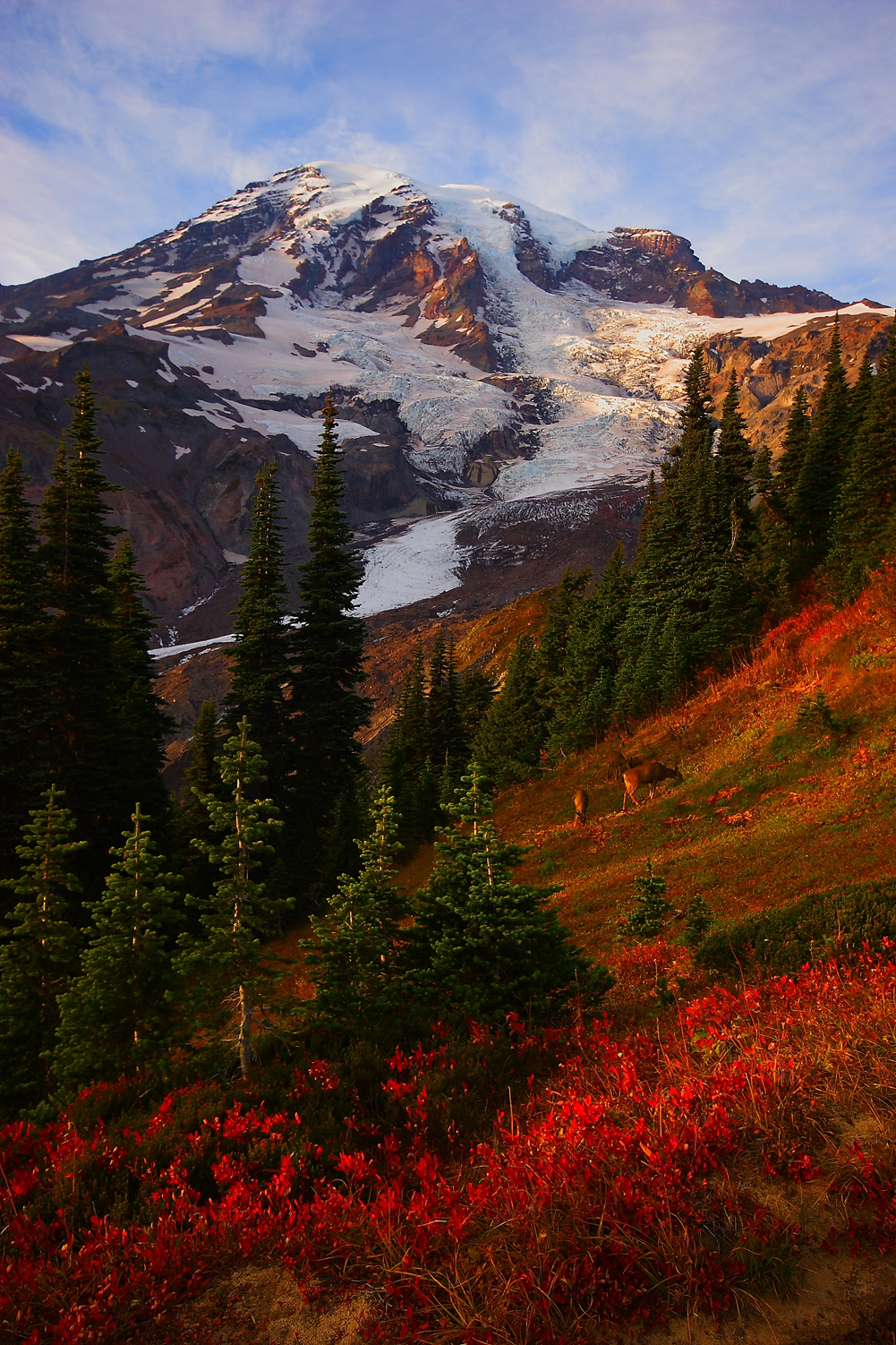 Visit Rainier: Eight Top Fall Hikes at Mt. Rainier