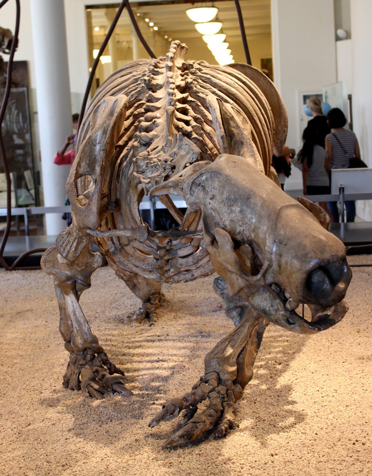 The Natural World: Jurassic World: Facultative Bipedalism