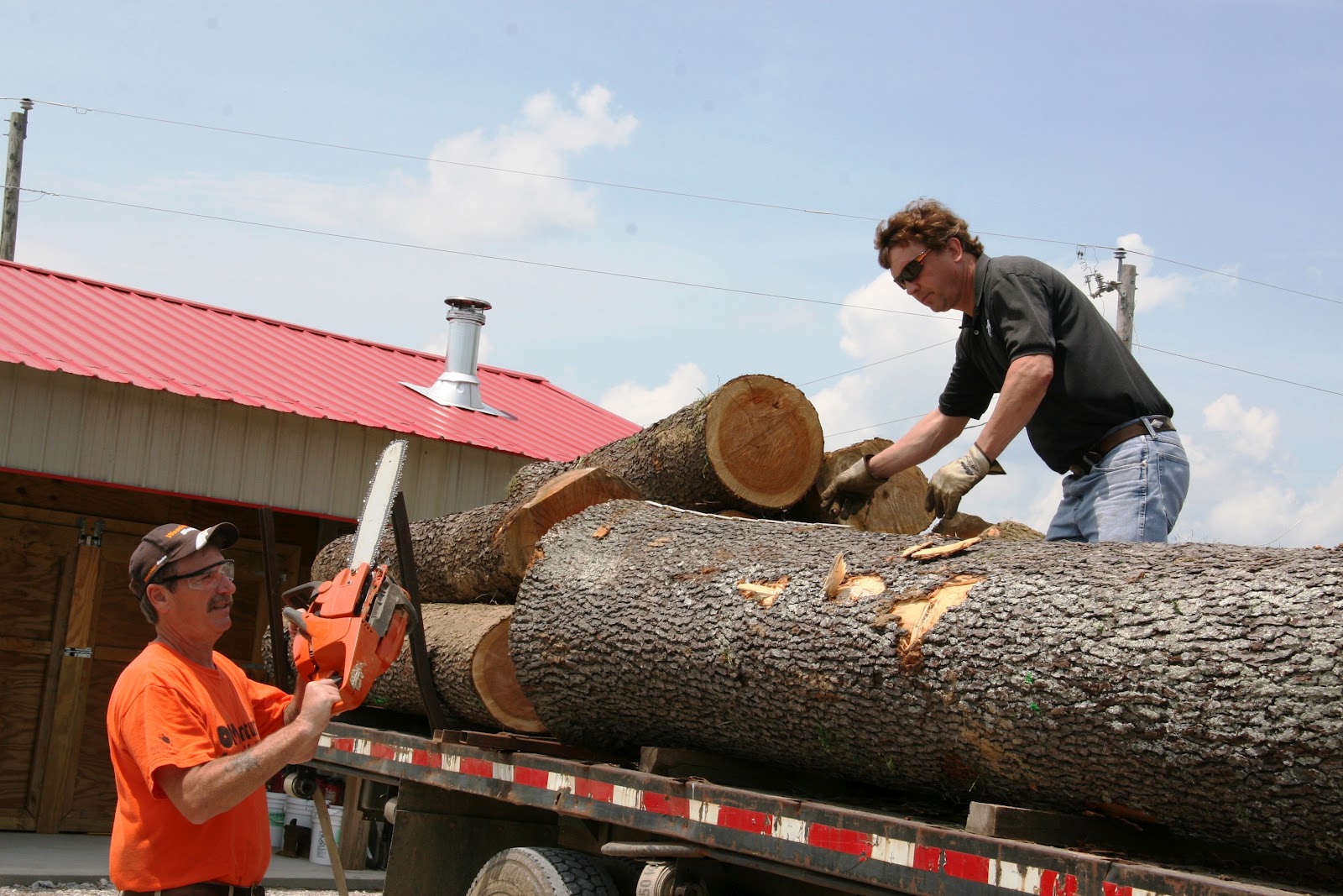 Wood-Mizer LLC: Making a Second Career out of Sawing Lumber