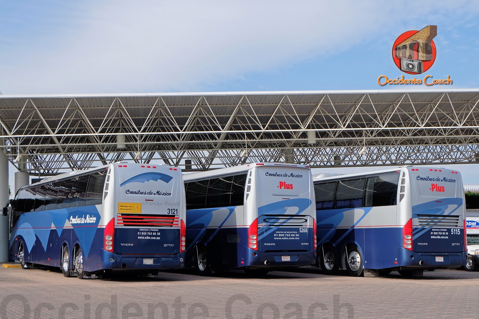 Occidente Coach: OdM / OdM Plus