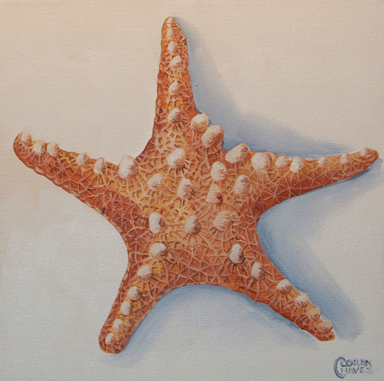 Coastal Art ~ Loran Chavez: Starfish