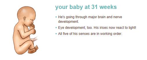 Bergill Baby: 31 Weeks