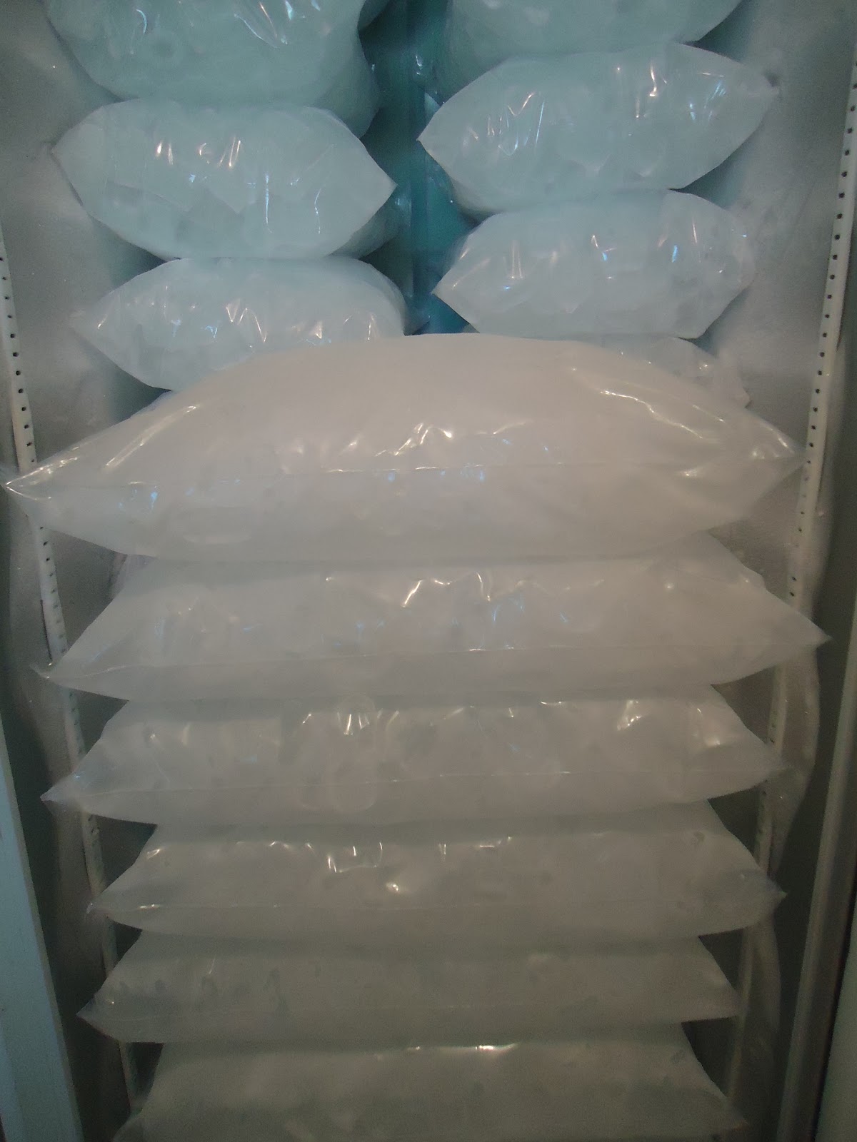 Leia Friesen: sacos de gelo com 5kg